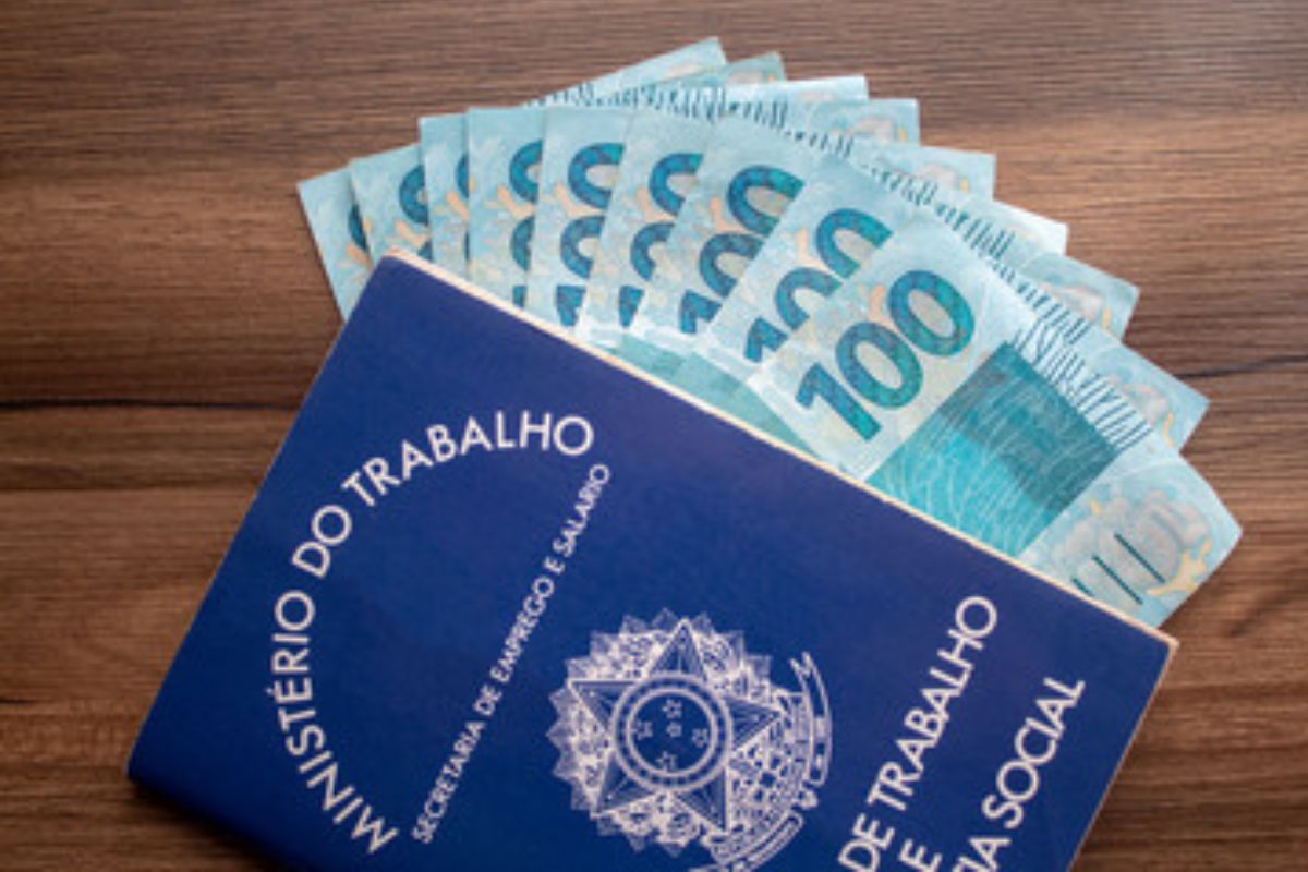 Contribuinte Individual do INSS: O que é e como funciona ...